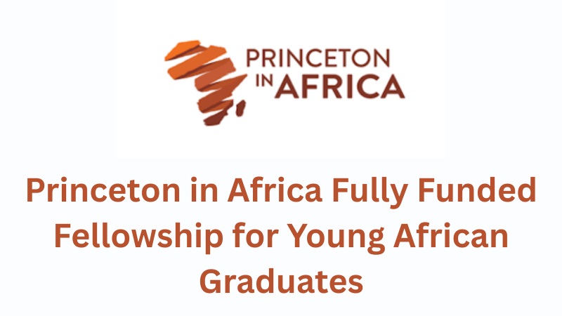 Nigerian Private Schools - Princeton in Africa Fellowship 2026–2027 ...
